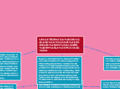 Desarrollo Paso 7 de ABP - Mind Map